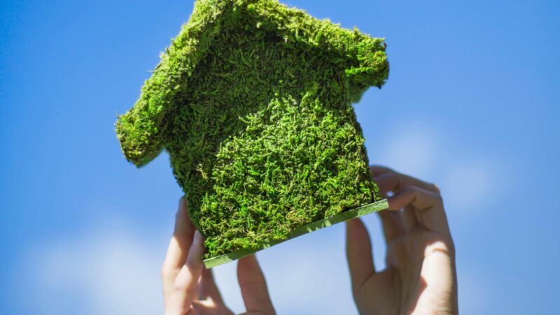 Green and Sustainable Building Advisor: Essential Role in Sustainable ...